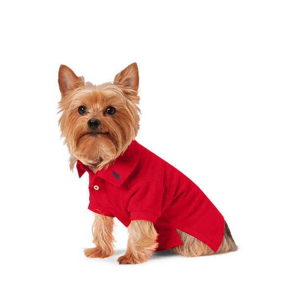 Cotton Mesh Dog Polo Shirt | Ralph Lauren® Australia