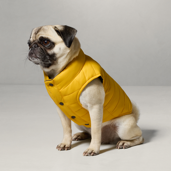 Chaqueta acolchada para perro | Ralph Lauren® ES