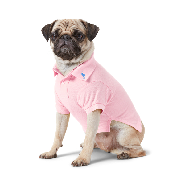 Cotton Mesh Dog Polo Shirt | Ralph Lauren® UK